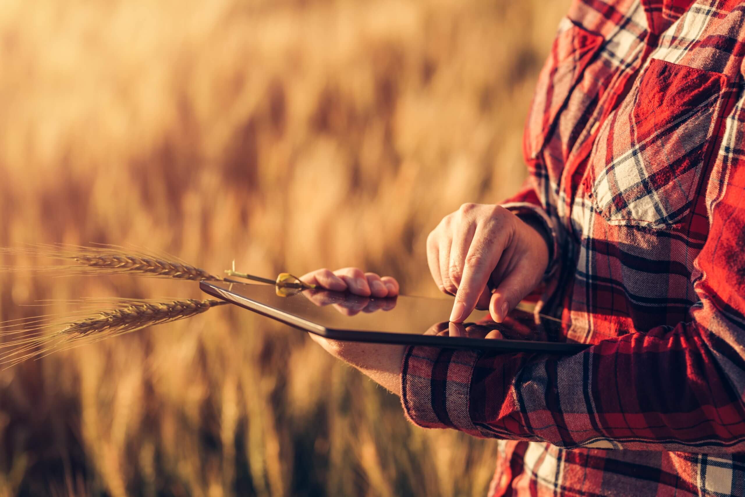 Agritech is Driving the Future of Food - HeatFeed.com