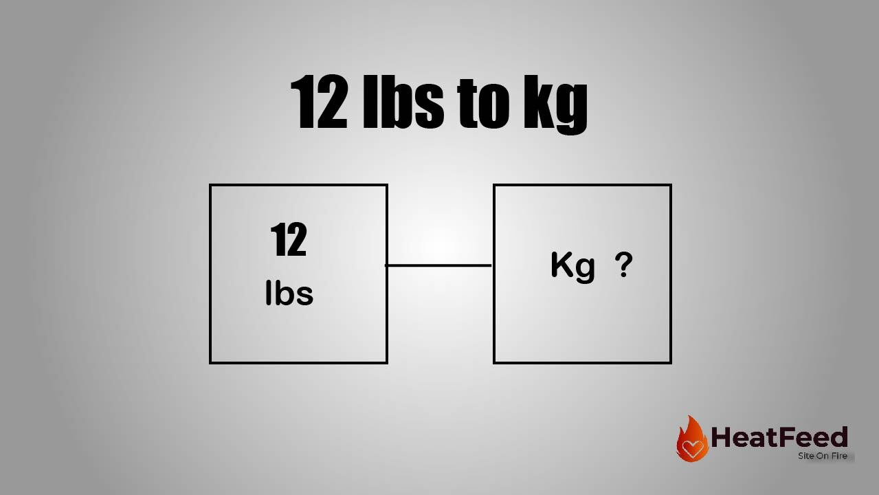 Convert 12 Lbs To Kg