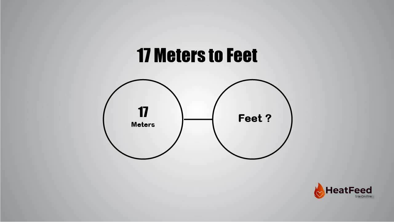 Convert 17 Meters to Feet