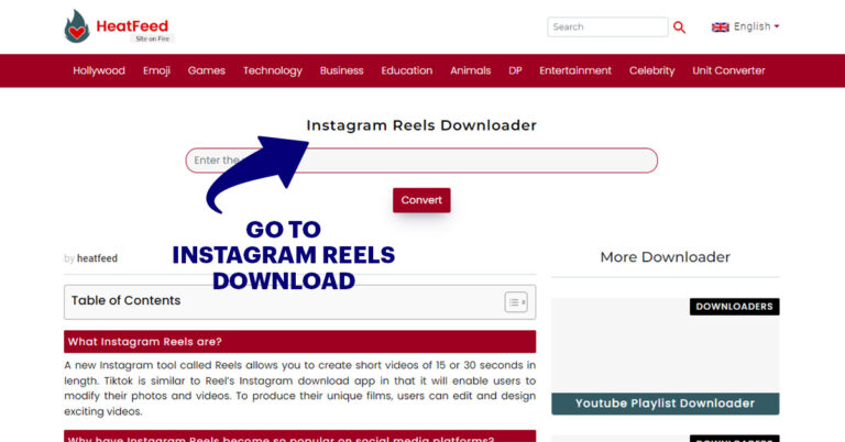 Insta Reel Downloader - Instagram Reels Download By Link